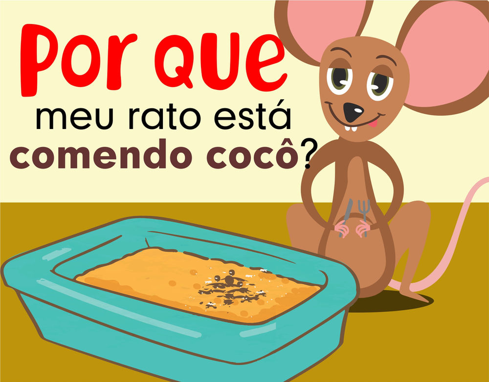 Socorro! Meu rato está comendo cocô!!!
