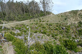 OUR PROPERTIES | Forest Lifeforce Restoration Trust