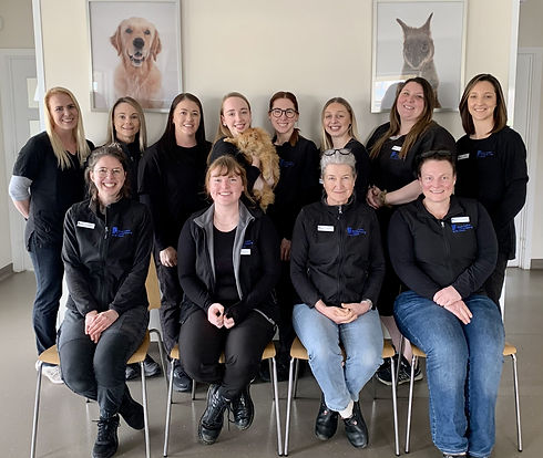 Blue Lake Vet Clinic | Mount Gambier Vet Clinic | Services