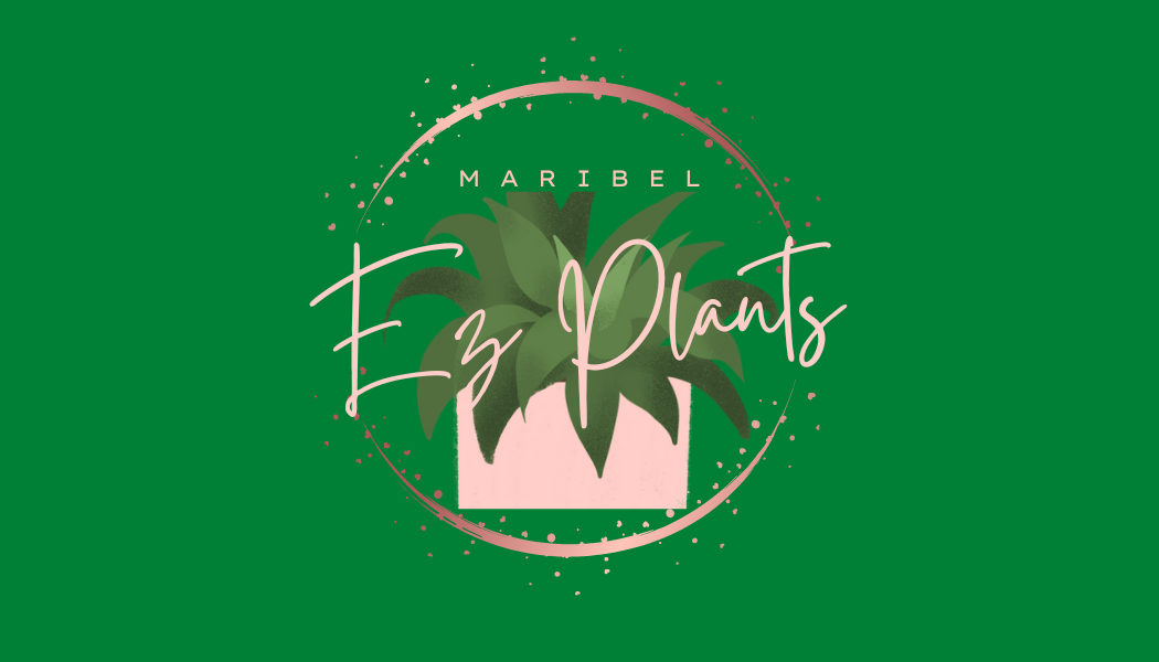 Plants | Maribel Ez Plants