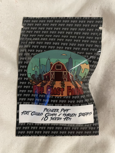 PIONEER PIFF | piffcoastfarms