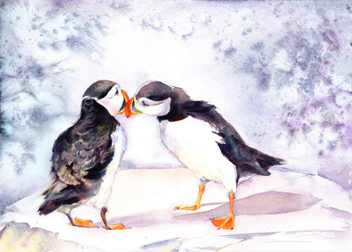 Puffins tapping bills, Limited Edition Gicléee Print | Anjana Cawdell Art