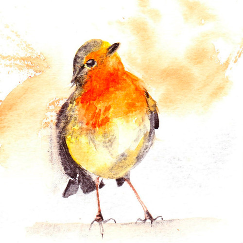 Robin (Framed) | Anjana Cawdell Art