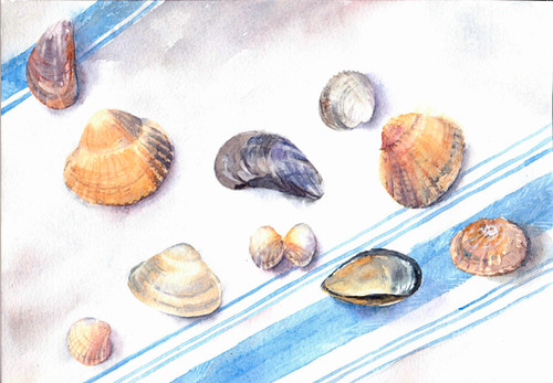 Sea shells, original watercolour painting | Anjana Cawdell Art