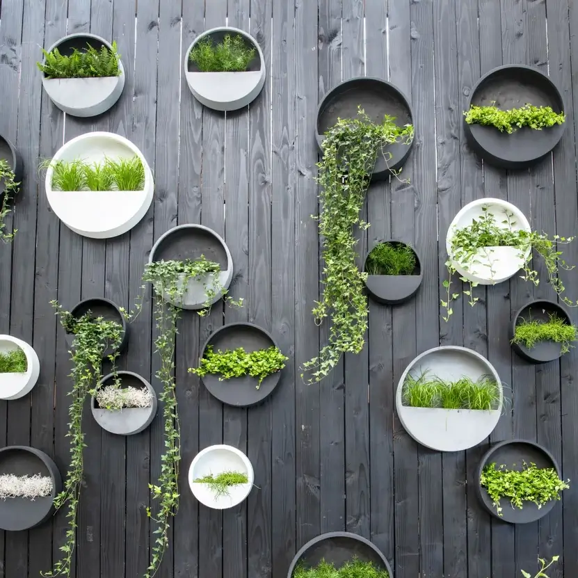 Shop Plant Pots & Planters | Foliage Factory