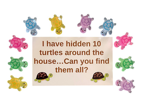 Hidden turtles prop set | sistersdreaming
