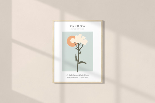 YARROW Cut Paper Native Plants | Humm House