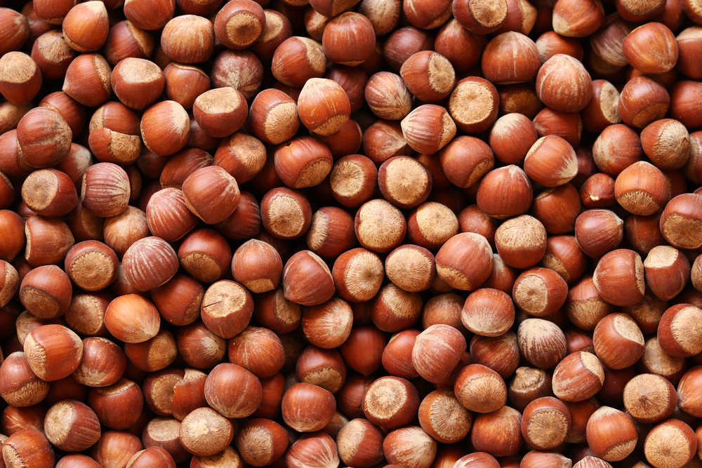 Smart Apply For Hazelnuts | Set. Spray. Save. Protect.