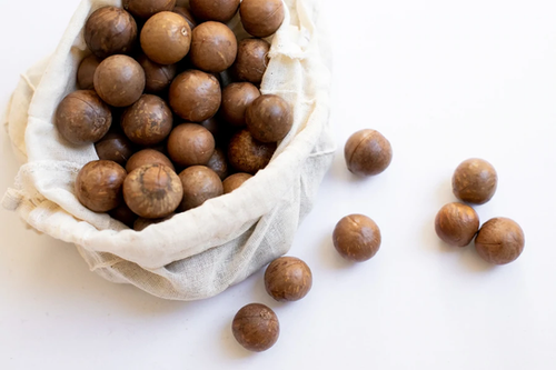 Macadamias In Shell 750g | Macadamia Sales