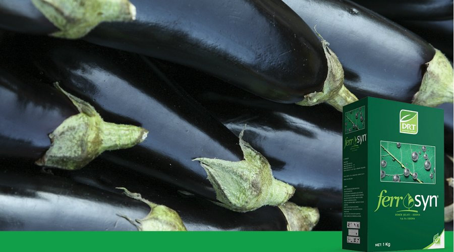 Ferrosyn | Doktor Tarsa | Önal Tarım