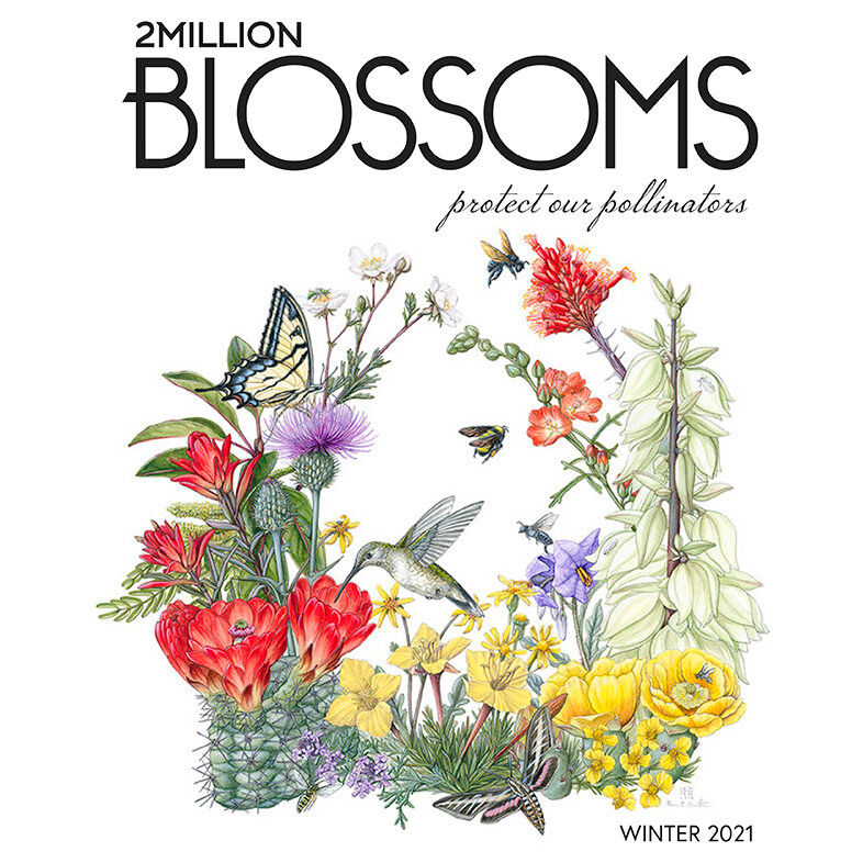Pollinator Pathway Northeast Featured in Winter 2021 Issue of 2 Million ...