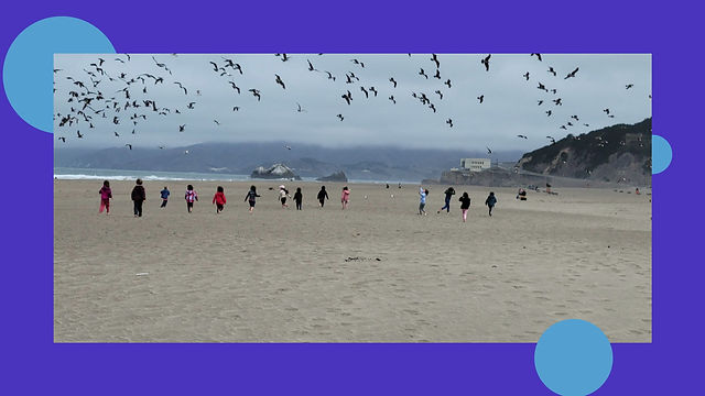 Forest School | Little Forest Explorers, LLC