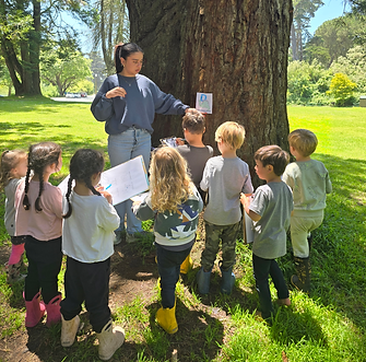 LFE | Meet Our Expert Team & Learn Our Vision