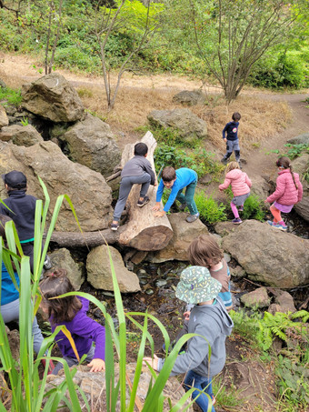 Forest School | Little Forest Explorers, LLC