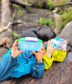 Forest School | Little Forest Explorers, LLC