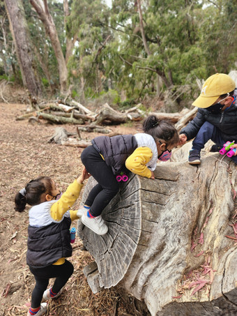 Forest School | Little Forest Explorers, LLC
