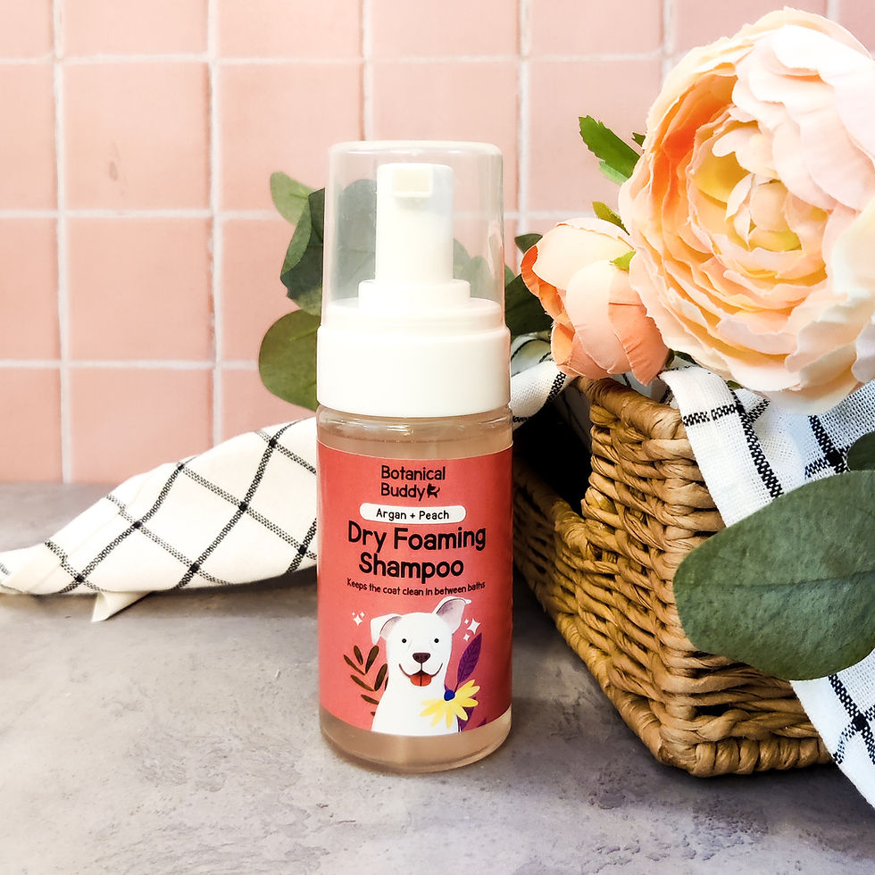 Dry Foaming Shampoo | Botanical Buddy