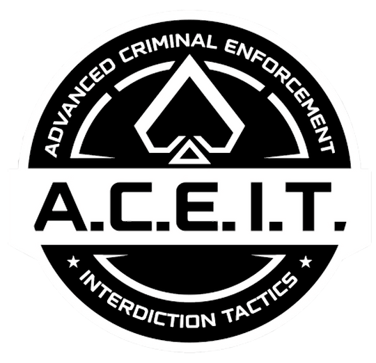 ACE Interdiction Tactics Law Enforcement Training