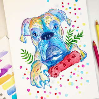 Amanda Piniecka | Portfolio