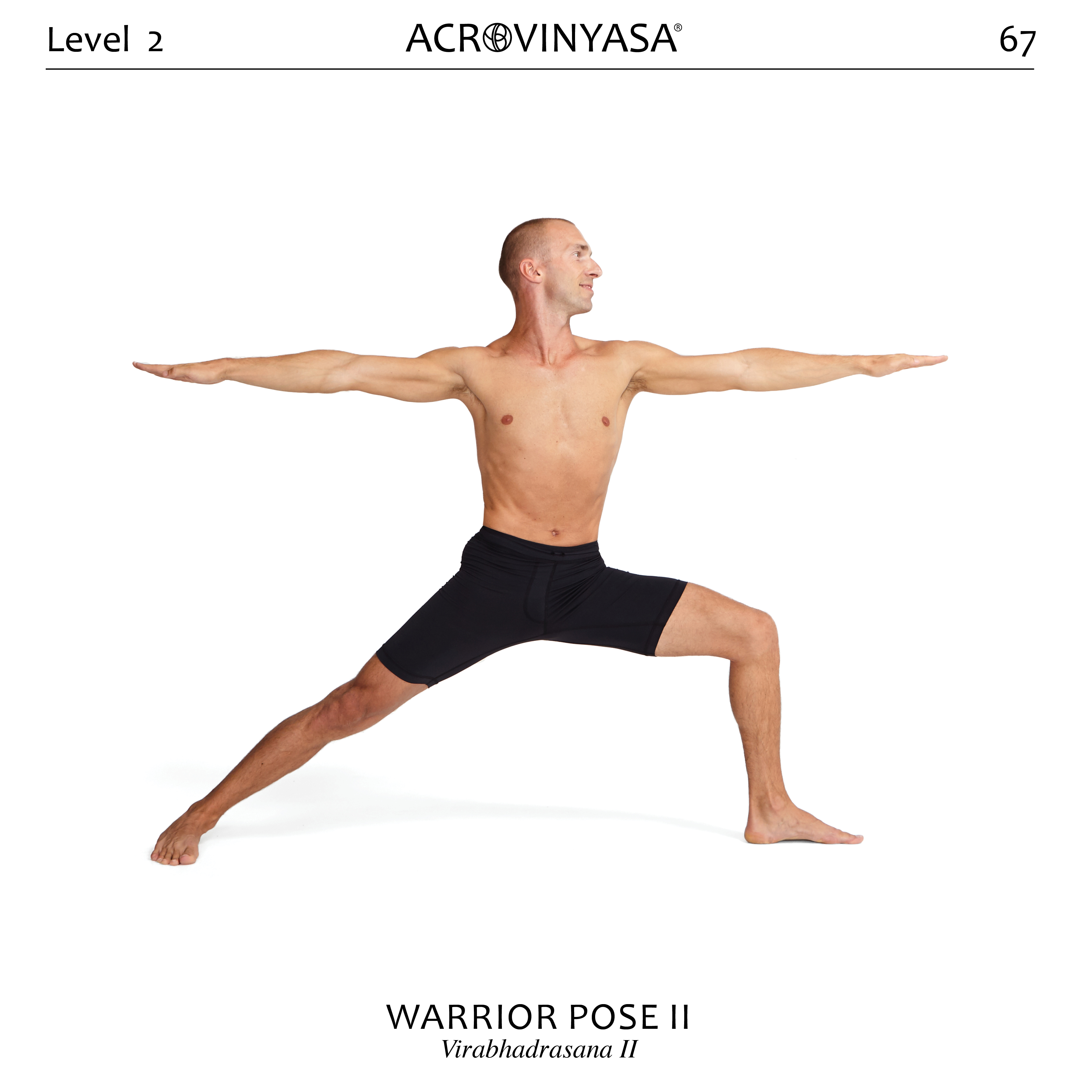 ABOUT ACROVINYASA™