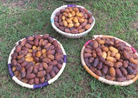 Jumbo Medjool Dates up to 10% skin speration and various sizes to ...