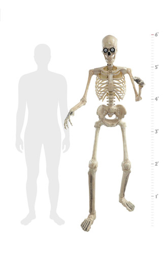 6ft Skeleton Rental | LA VIE POSH