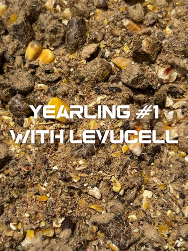 YEARLING # 1 with Levucell | Gator Feed Company