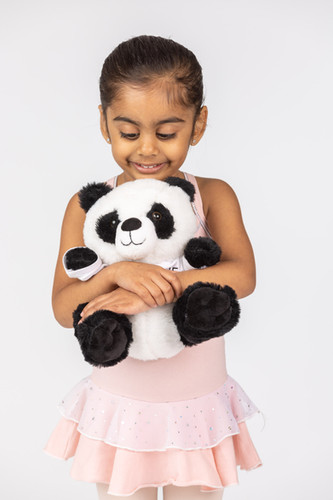 EPA Mascot Panda | Evolve PA