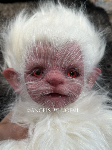 In Stock "Victor" Cuddle Body Silicone Werewolf - Preemie | Angels by Noemi