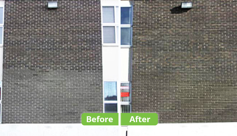 Gallery | PermaTint Ltd.