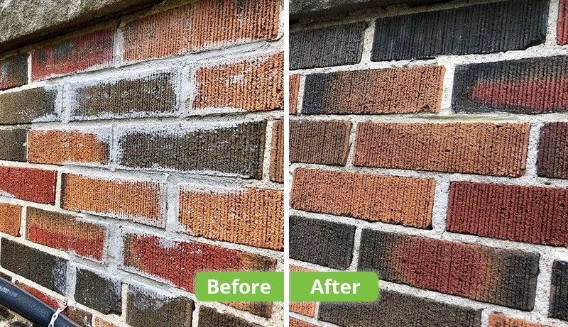 Gallery | PermaTint Ltd.