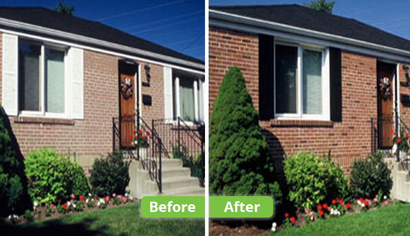 Gallery | PermaTint Ltd.