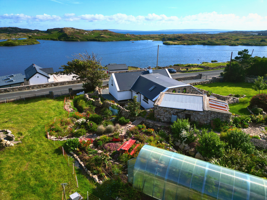 Tamijoy | Tamijoy Farm | Lettermullan