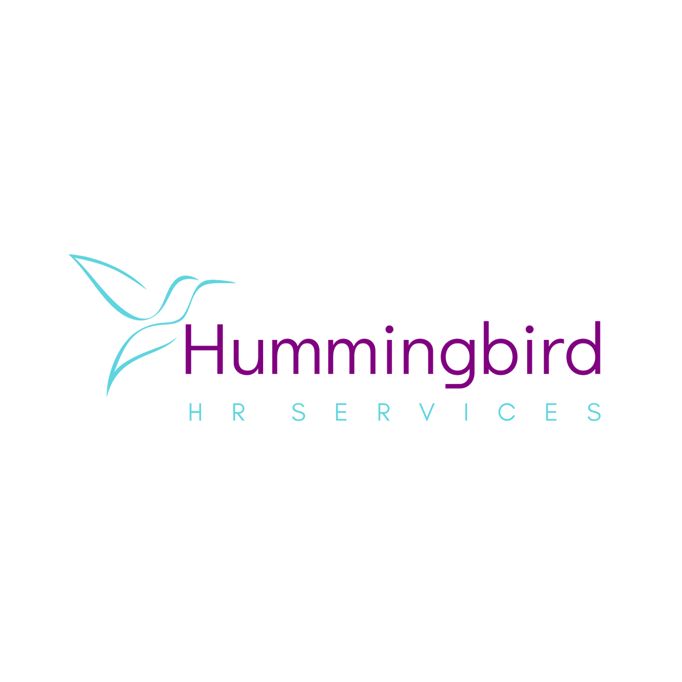 Hummingbird HR Services Ltd - HR Consultancy based in Bath