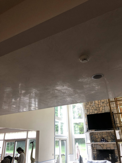 Plaster Mike | Professional Venetian Plaster Artist