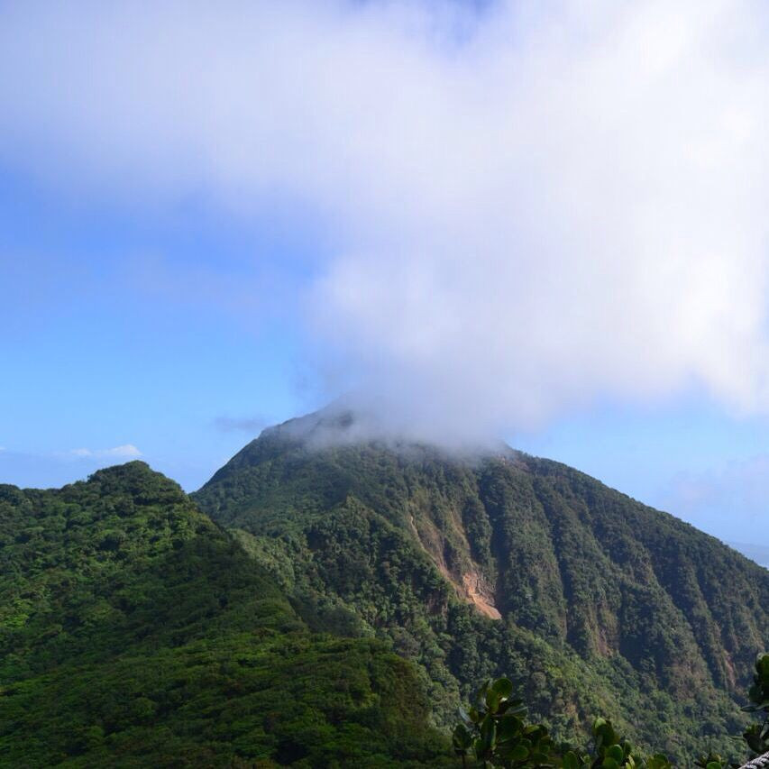 The Mombacho Volcano Nature Reserve