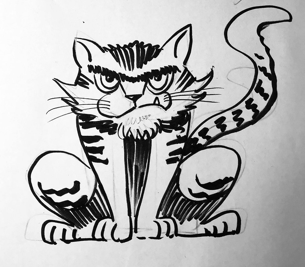 Carl the Cat - (transmedia project)