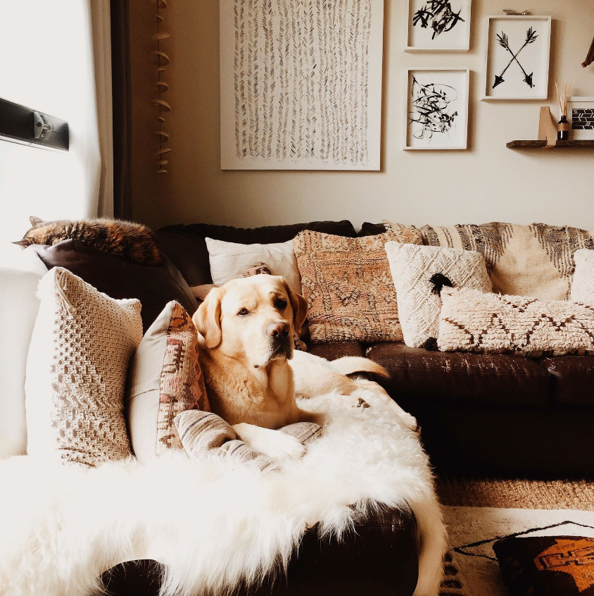 Slow Design, Sanctuary Essentials + Creating a Home That Fits Your Family