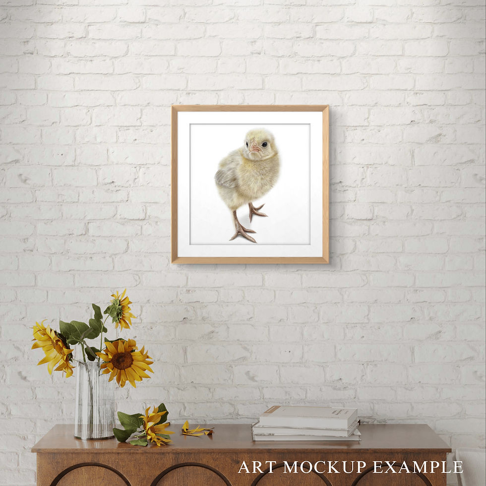 Becca Barron Art | Shop