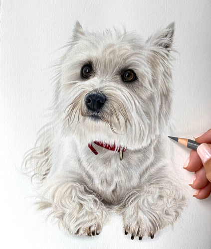 West Highland Terrier Tutorial | Becca Barron New