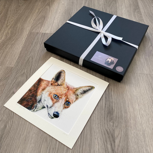 'Red Fox' Limited Edition Print | Becca Barron New