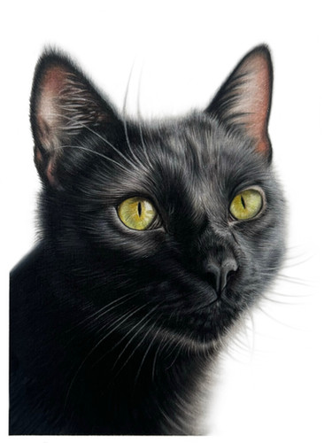 Black Cat Tutorial | Becca Barron New