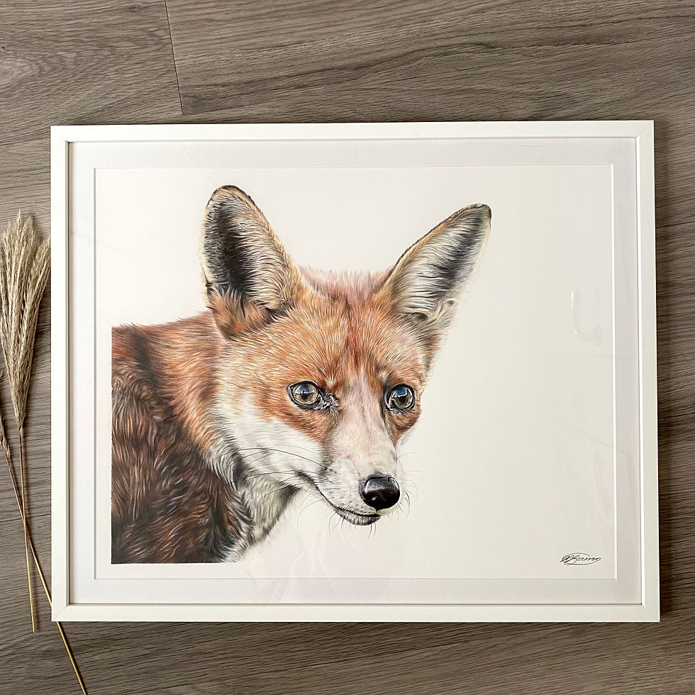 Becca Barron Art | Shop
