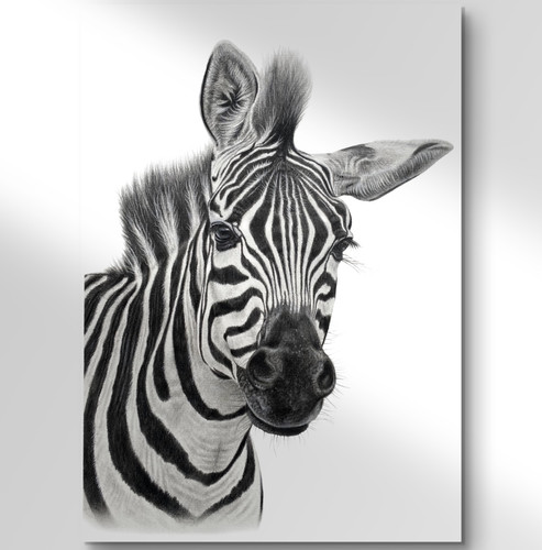 'Zebra' Print | Becca Barron New