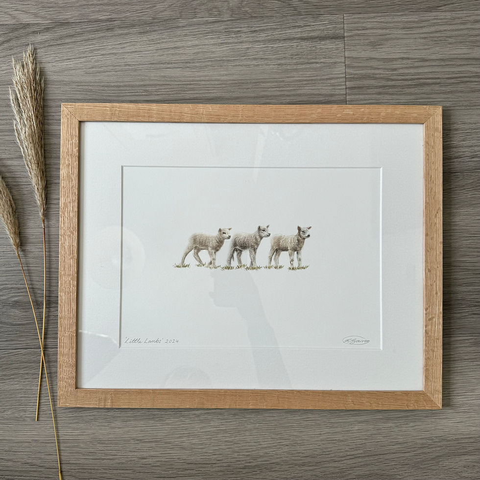 Originals | Becca Barron New