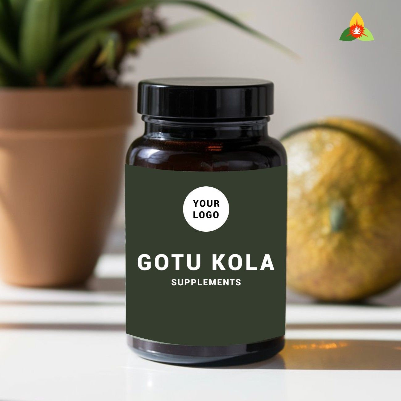 Gotu Kola, Best Ayurvedic Gotu Kola Supplement Manufacturer in India