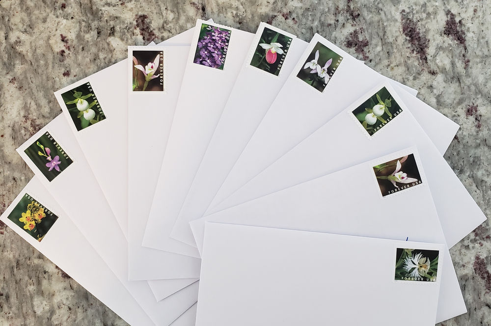 Letters Against Isolation Mailing Guidelines