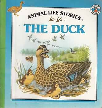 Animal Life Stories The Duck | kahaanibox