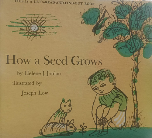 How a seed grows | kahaanibox