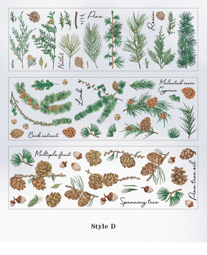 6 Sheets Pine Cone Plant Stickers Slides | Art Junkie